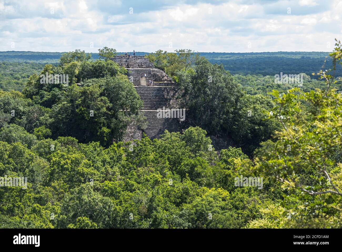 Jungle view from Calakmul temple grounds, Yucatan Peninsula, Mexico ...