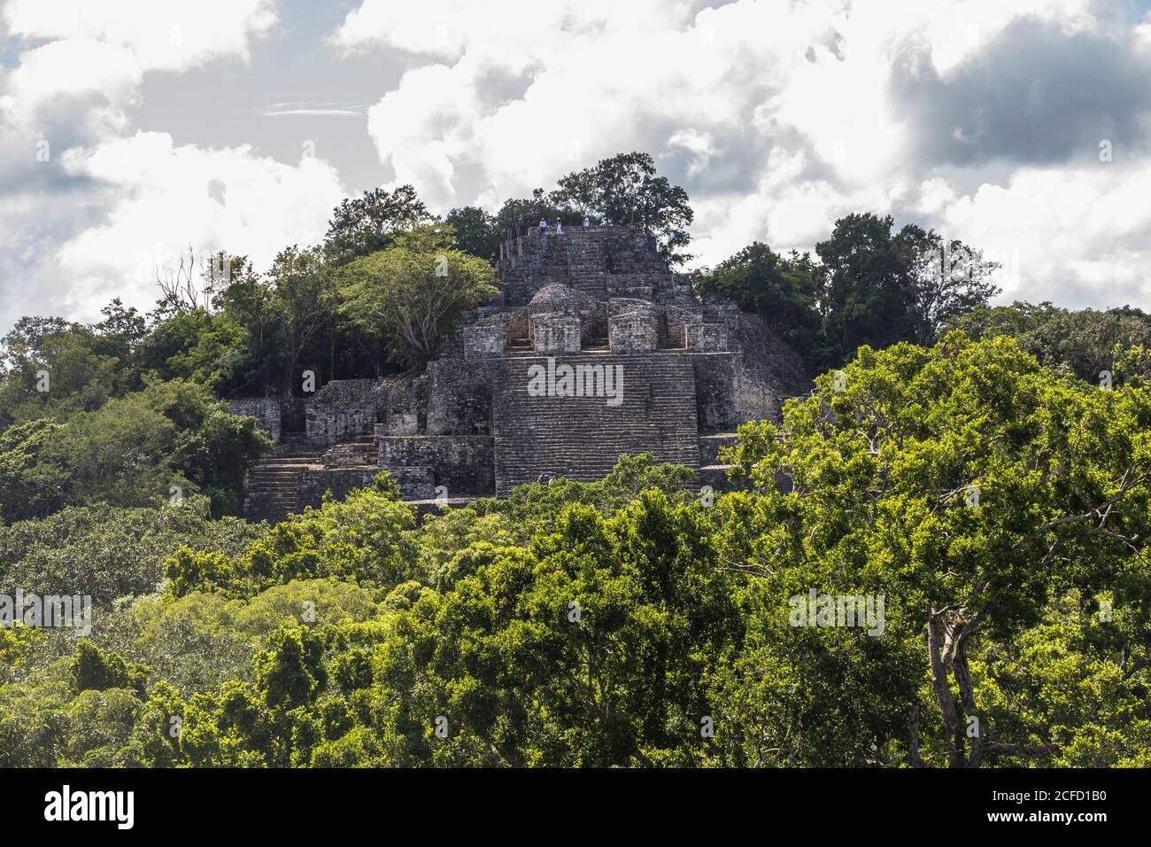 Mayan pyramid on Calakmul temple grounds in the jungle, Yucatan ...