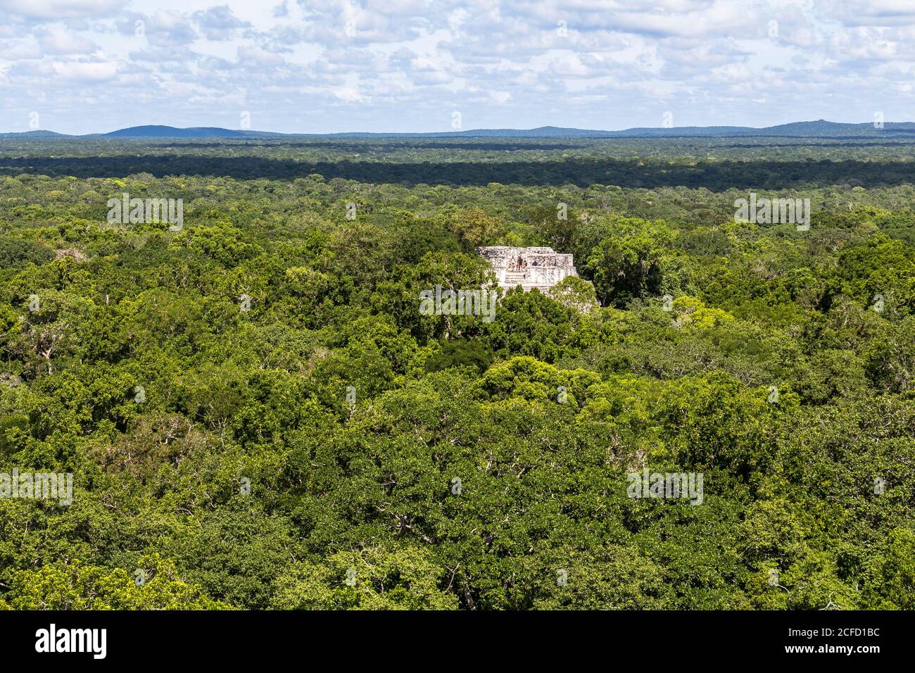 Jungle view from Calakmul temple grounds, Yucatan Peninsula, Mexico ...