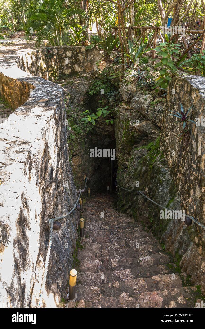 Entrance to Cenote Samula - open karst cave filled with water in Tulum ...