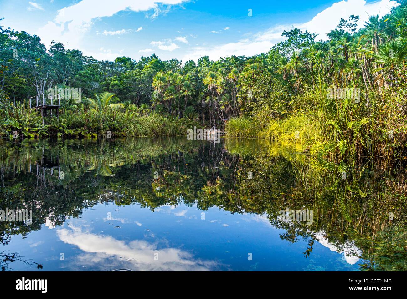 Cenote Crystal - open, water-filled karst cave in Tulum. Quintana Roo ...