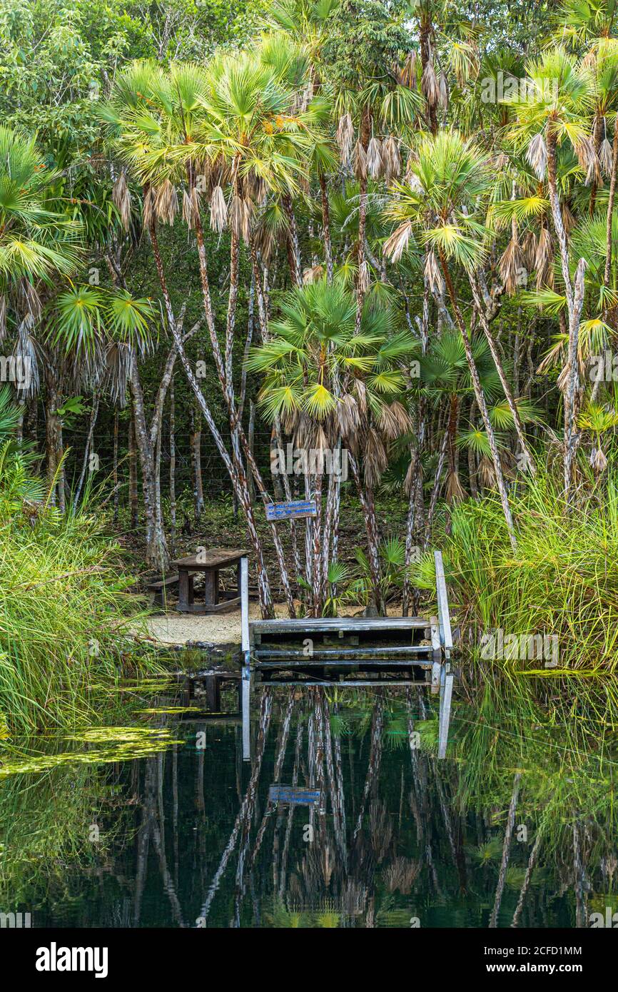 Cenote Crystal - open, water-filled karst cave in Tulum. Quintana Roo ...