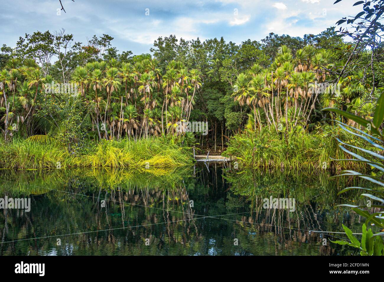 Cenote Crystal - open, water-filled karst cave in Tulum. Quintana Roo ...
