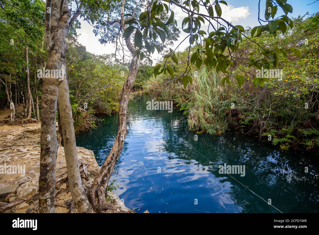 Cenote Escondido - open karst cave filled with water in Tulum. Quintana ...
