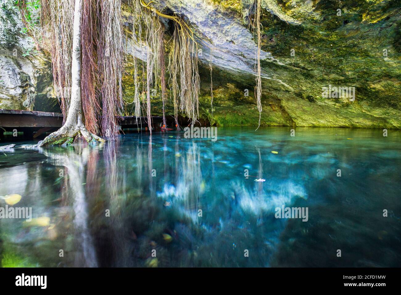Gran Cenote - open karst cave in Tulum filled with water. Quintana Roo ...