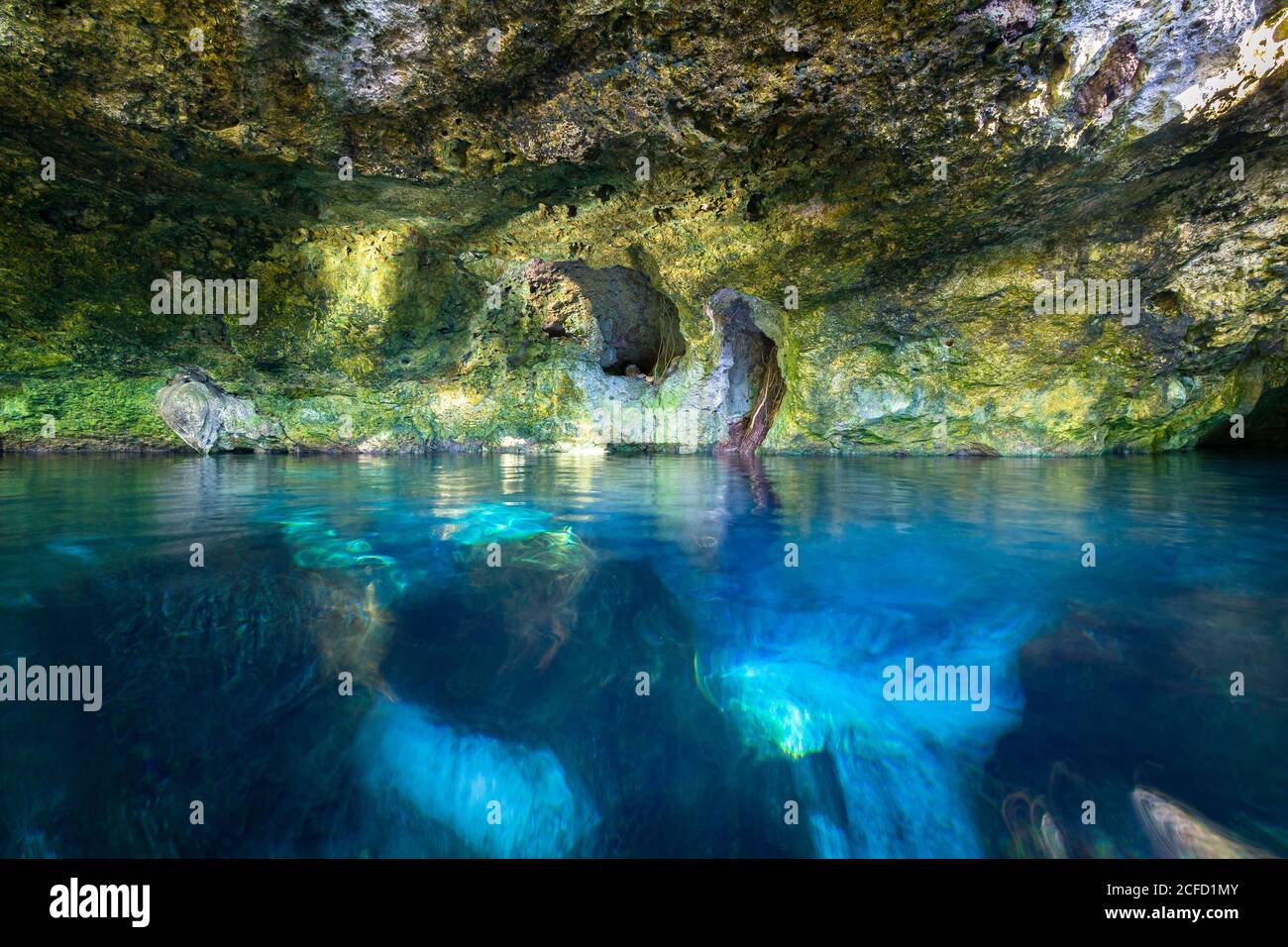 Gran Cenote - open karst cave in Tulum filled with water. Quintana Roo ...