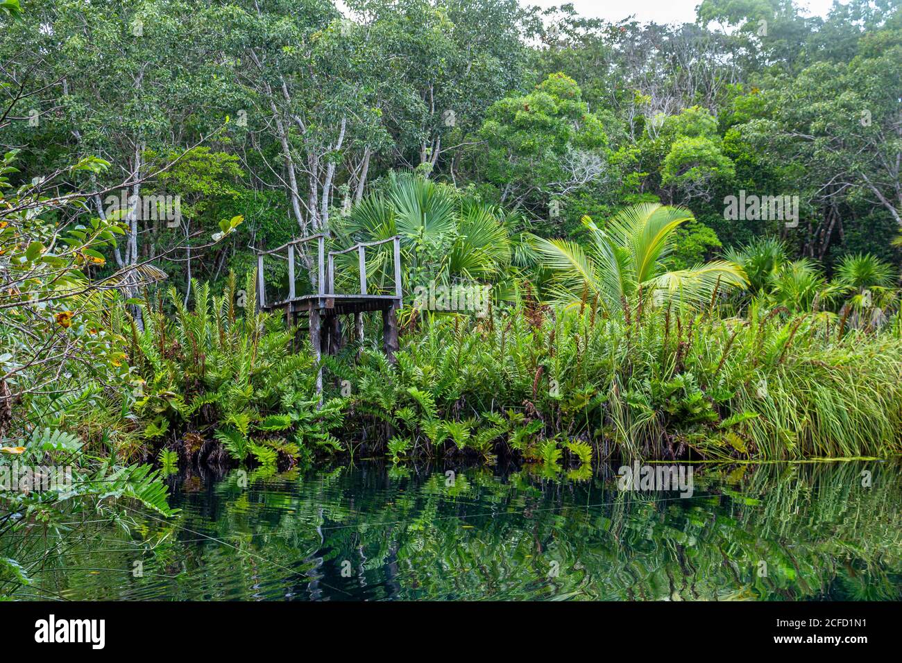 Cenote Crystal - open, water-filled karst cave in Tulum. Quintana Roo ...