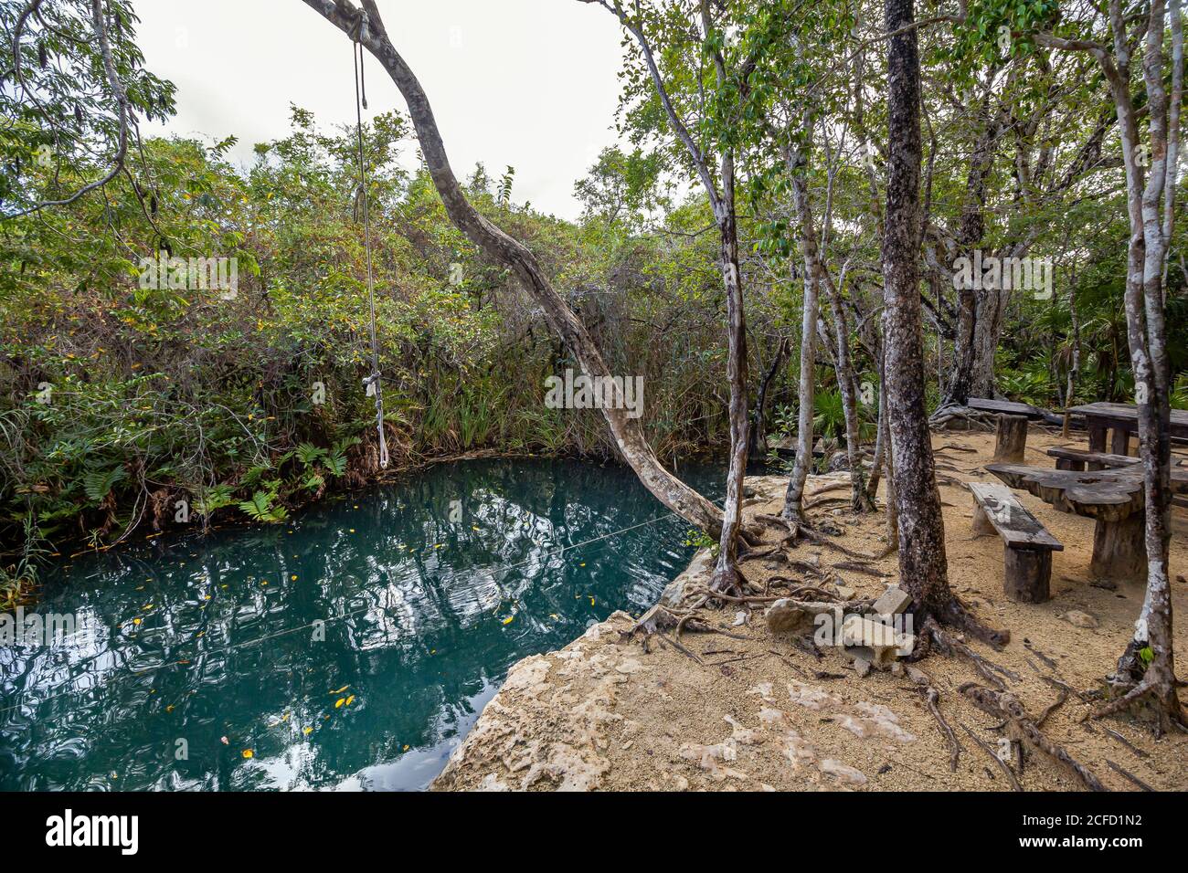 Cenote Escondido - open karst cave filled with water in Tulum. Quintana ...