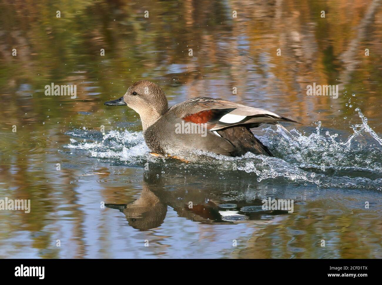 Landing pattern hi-res stock photography and images - Alamy
