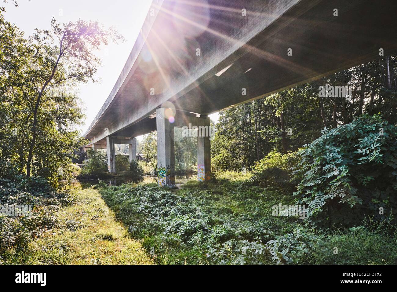 Architecture, technology and nature, under a bridge, superstructure in ...