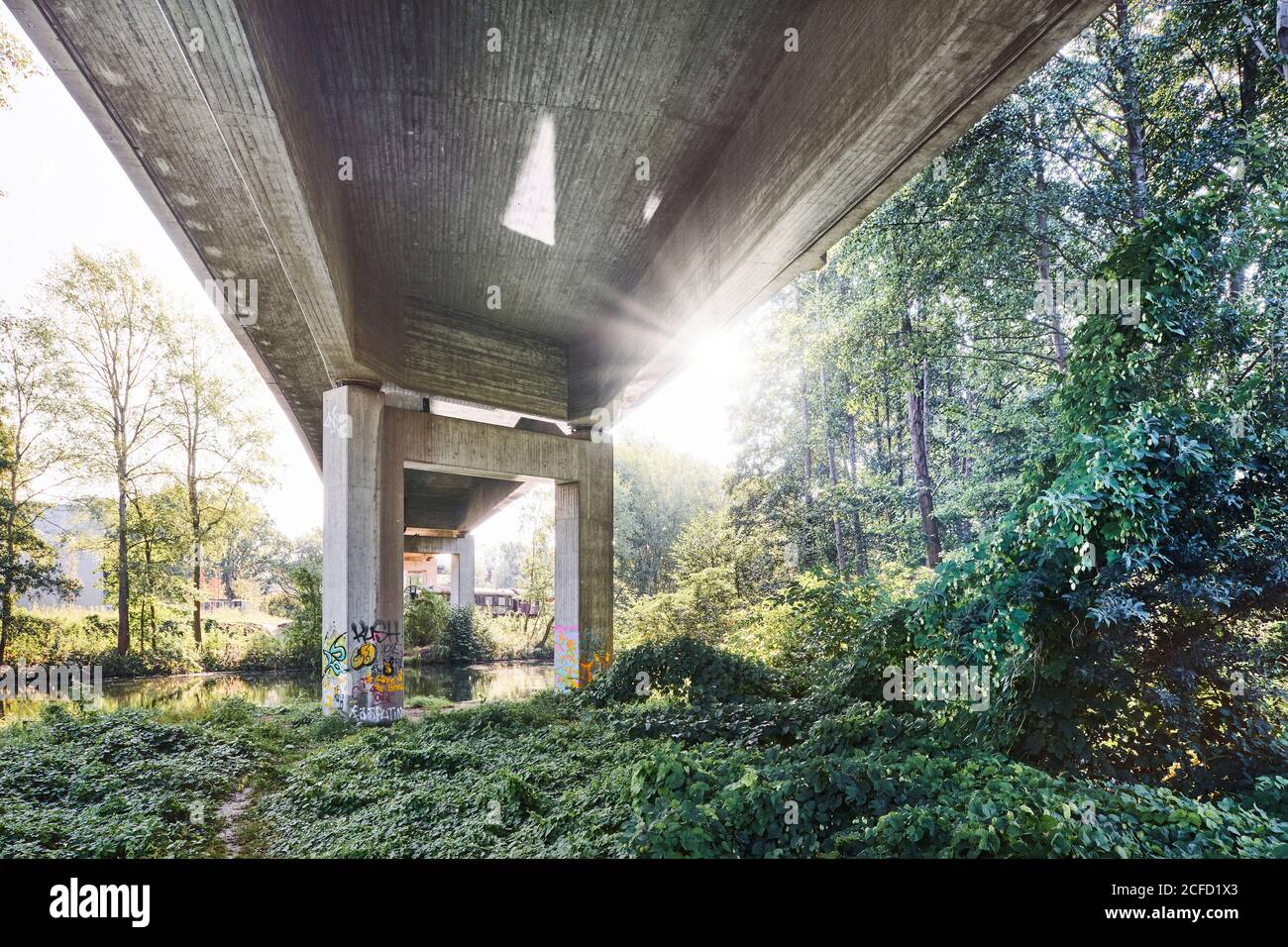 Architecture, technology and nature, under a bridge, superstructure in ...