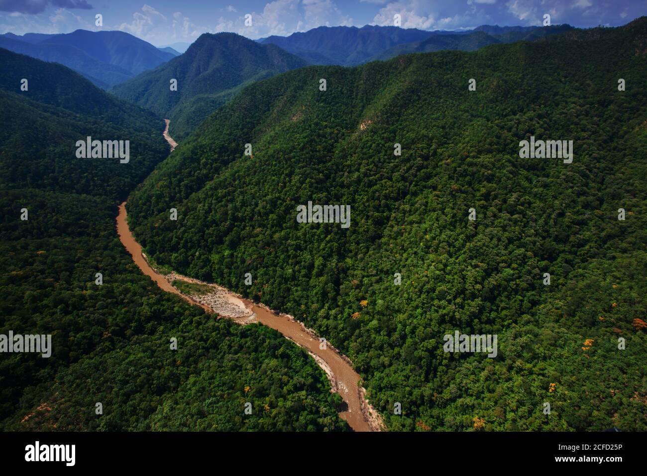 Teak forest aerial hi-res stock photography and images - Alamy