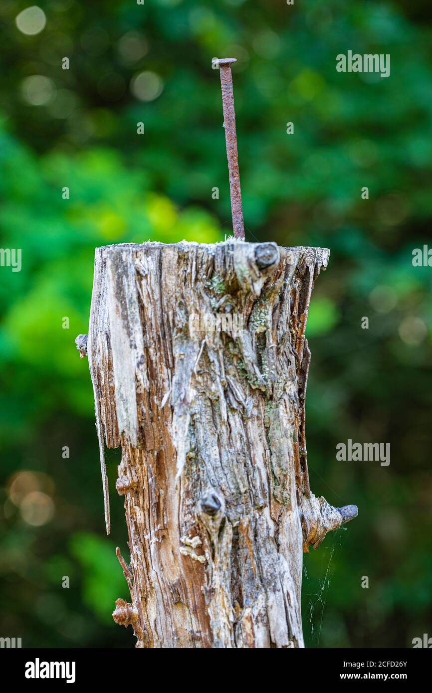 Rusty stilt hi-res stock photography and images - Alamy