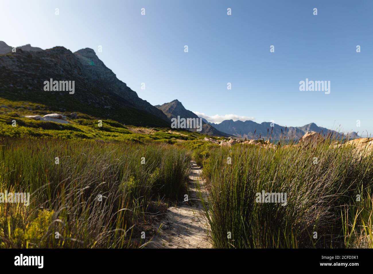 Nature walking trail through hi-res stock photography and images - Alamy