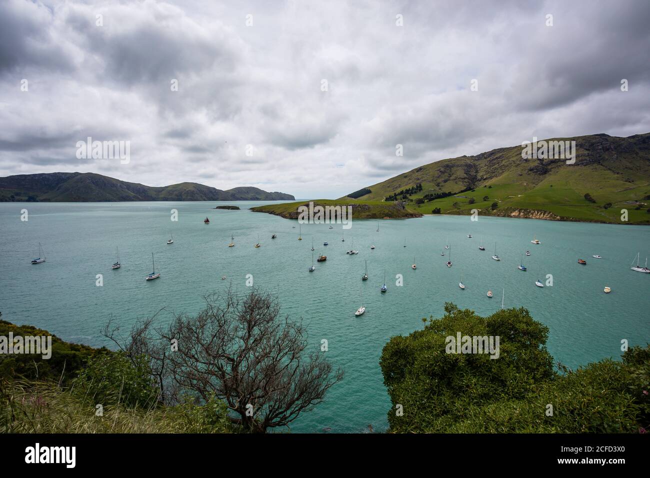 Diamond harbor new zealand hi-res stock photography and images - Alamy