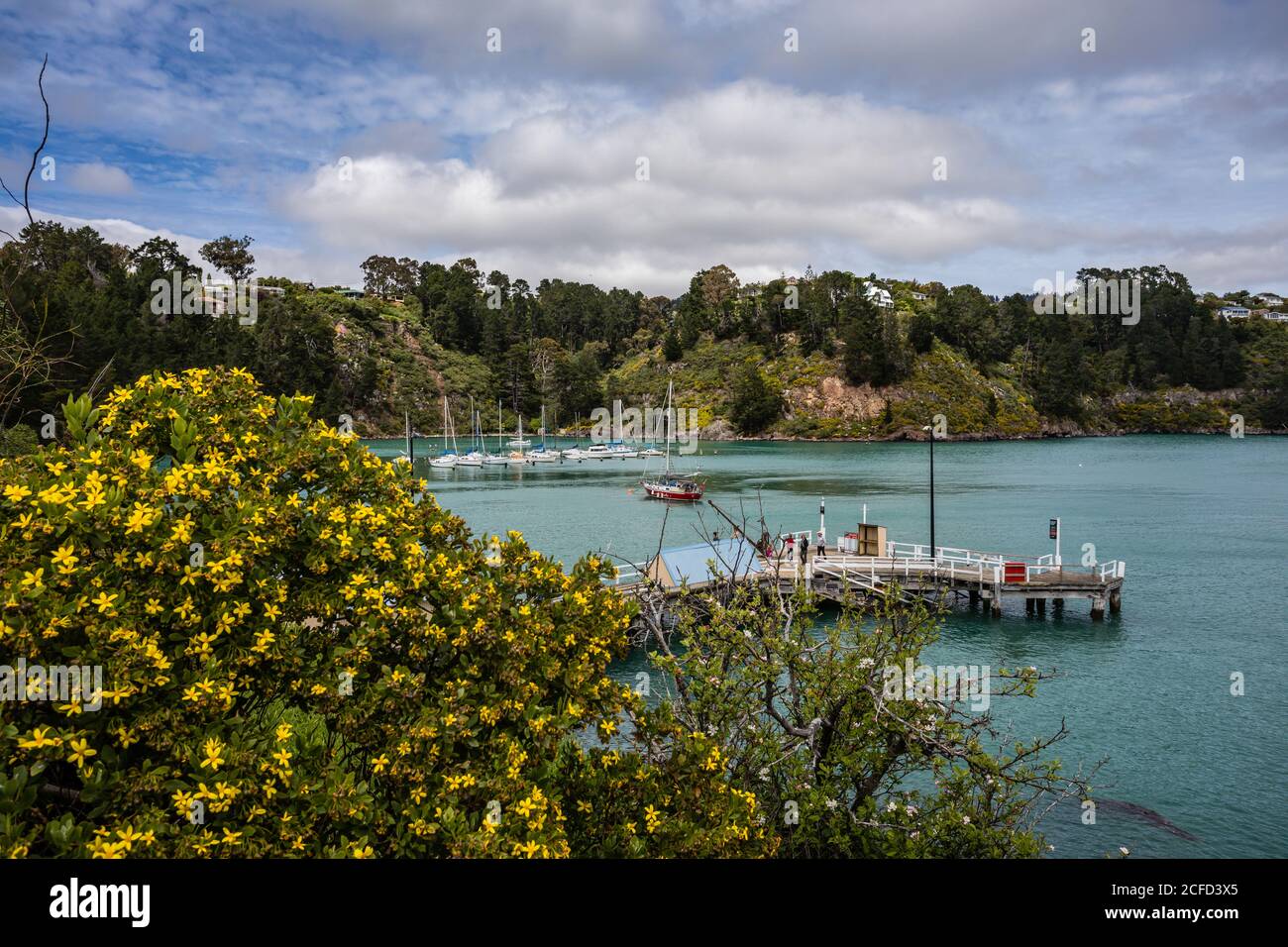 Diamond harbor new zealand hi-res stock photography and images - Alamy