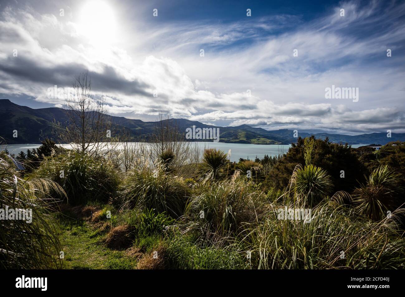 Akaroa new zealand hi-res stock photography and images - Alamy