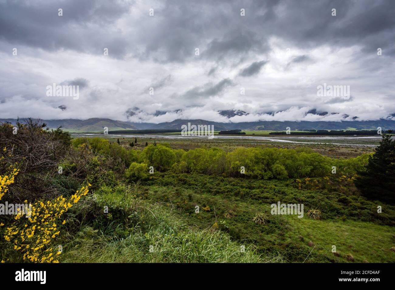 New zealand hill side tree hi-res stock photography and images - Alamy