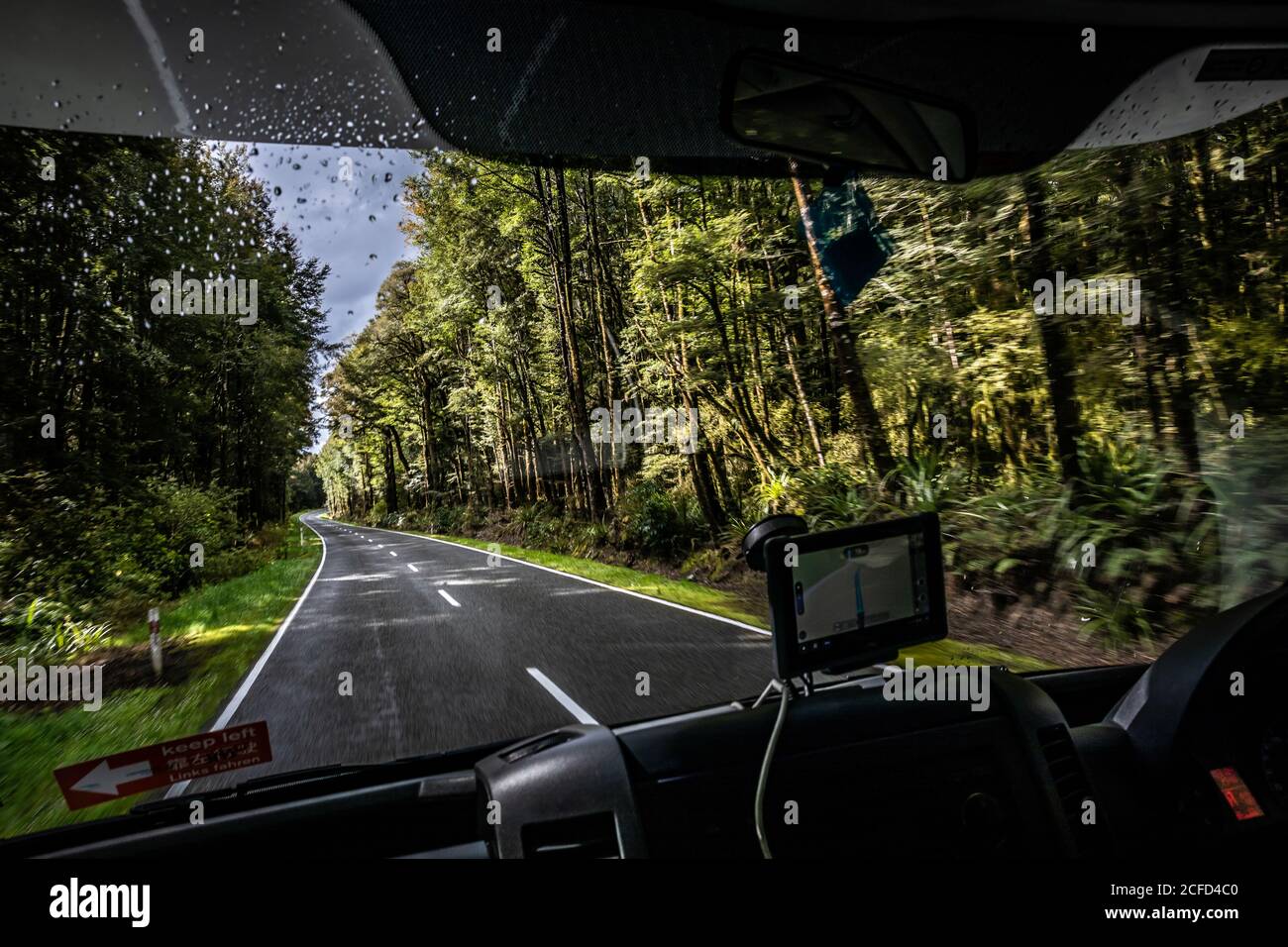 Driving through rain forest hi-res stock photography and images - Alamy