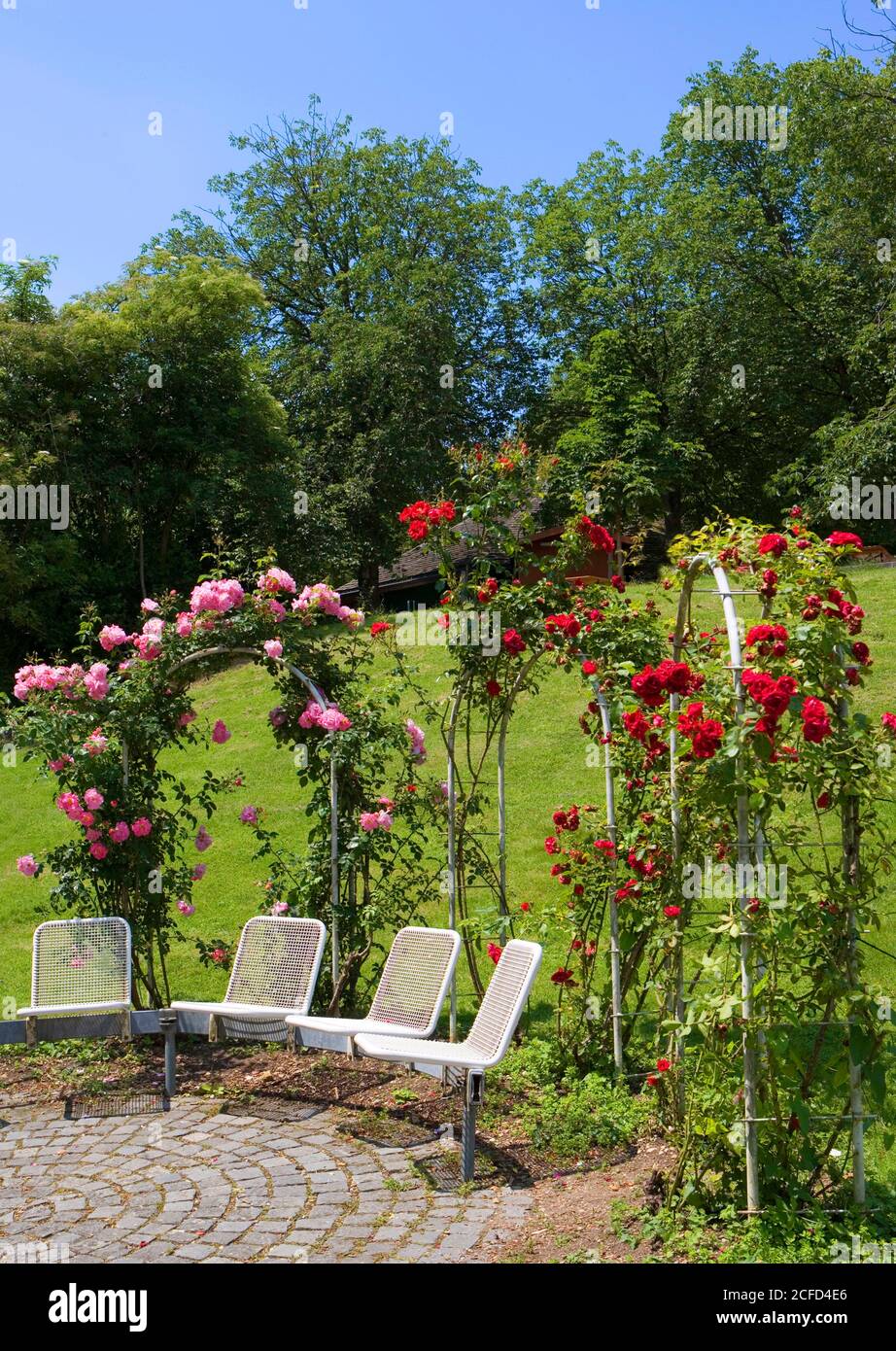 Munich, Westpark, Rosengarten, is at the western end of the park ...