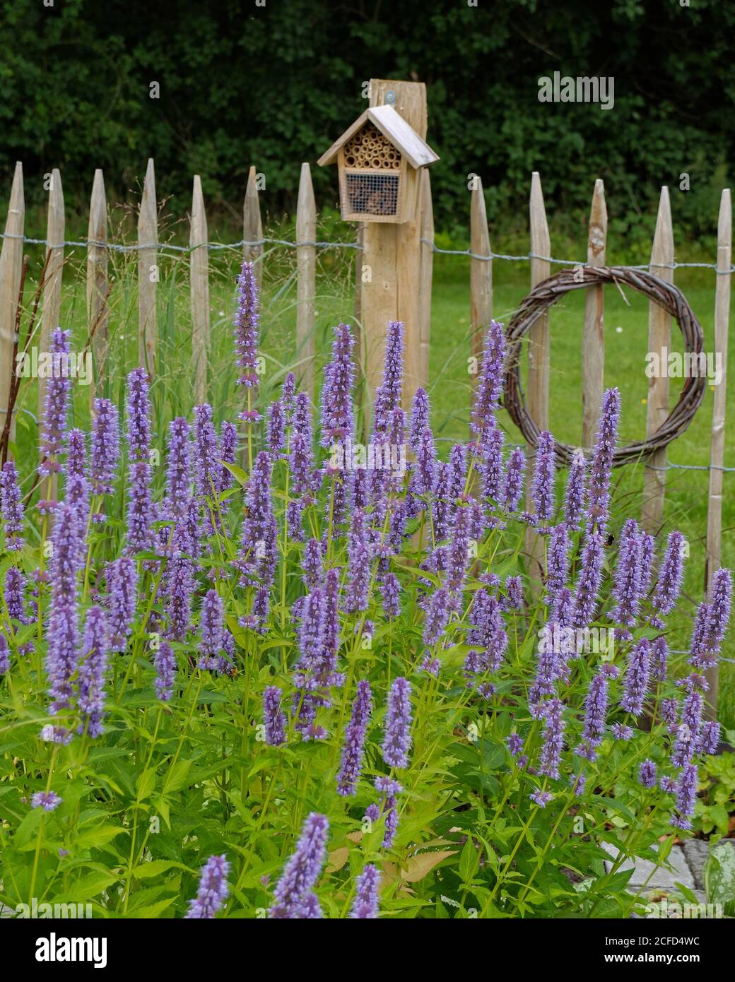 Small insect hotel made of bamboo tubes and cones, on a fence, bee ...