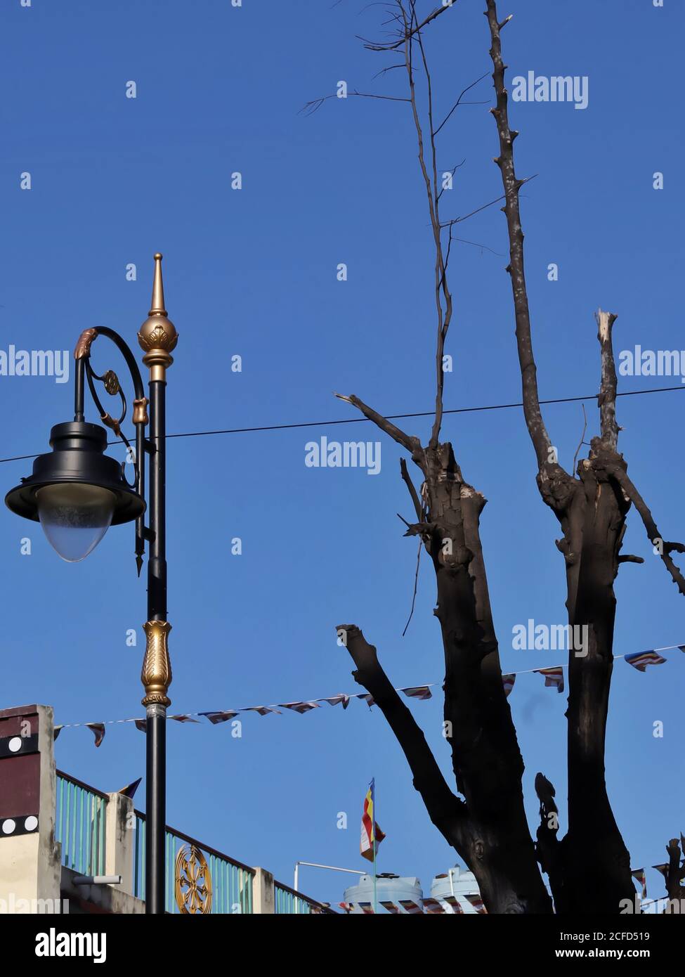Landscape view of the street light of Varanasi with selective focus ...