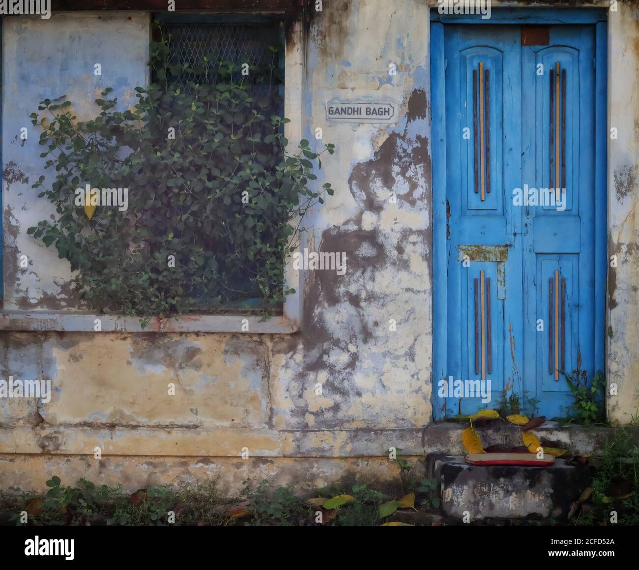 Front gate of an old house with shrubs and selective focus. Gate of an ...