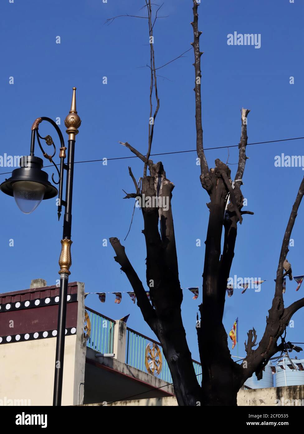 Landscape view of the street light of Varanasi with selective focus ...