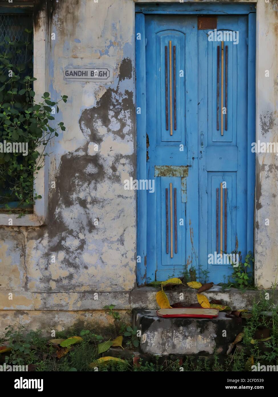 Front gate of an old house with shrubs and selective focus. Gate of an ...