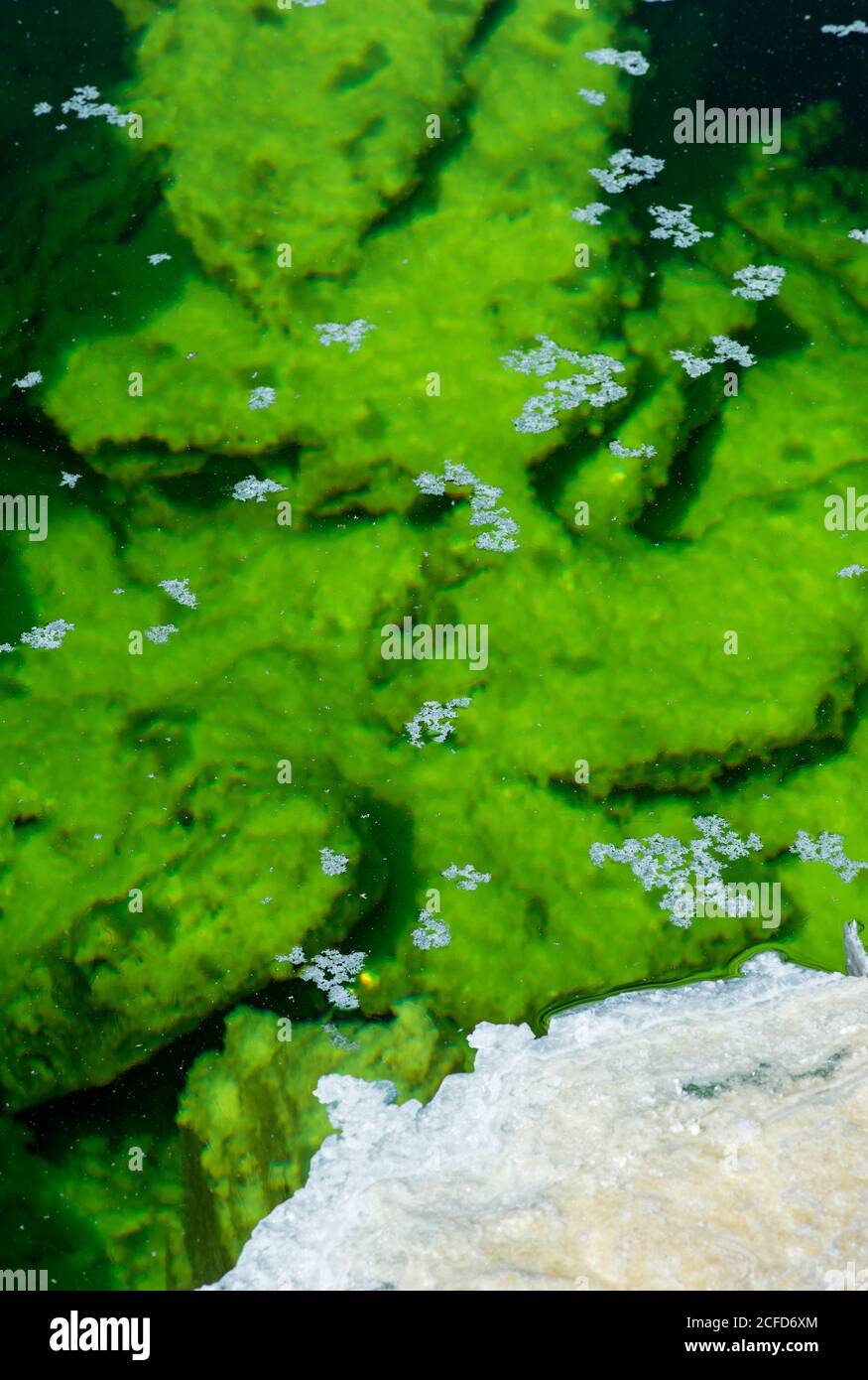 Concentrated solution hi-res stock photography and images - Alamy