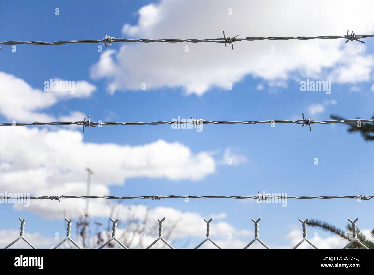 barbed wire chain link fence under clear blue skies Stock Photo - Alamy