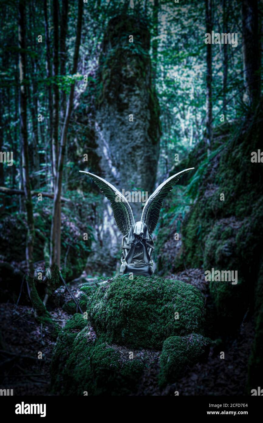 Angel forest cemetery copy hi-res stock photography and images - Alamy