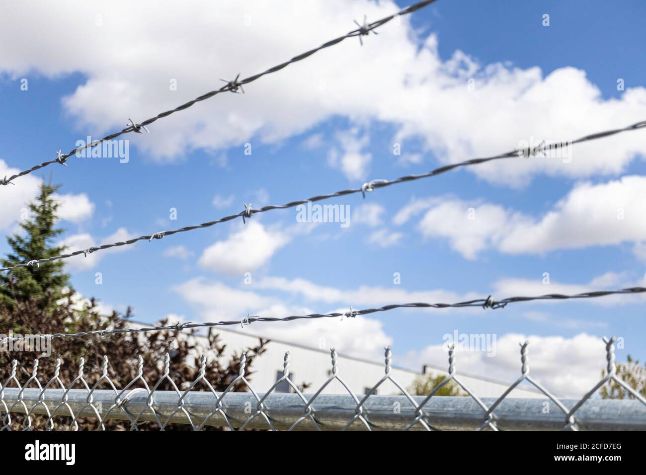 barbed wire chain link fence under clear blue skies Stock Photo - Alamy