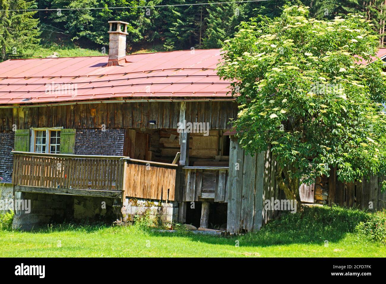 Alpine hut in the bush hi-res stock photography and images - Alamy
