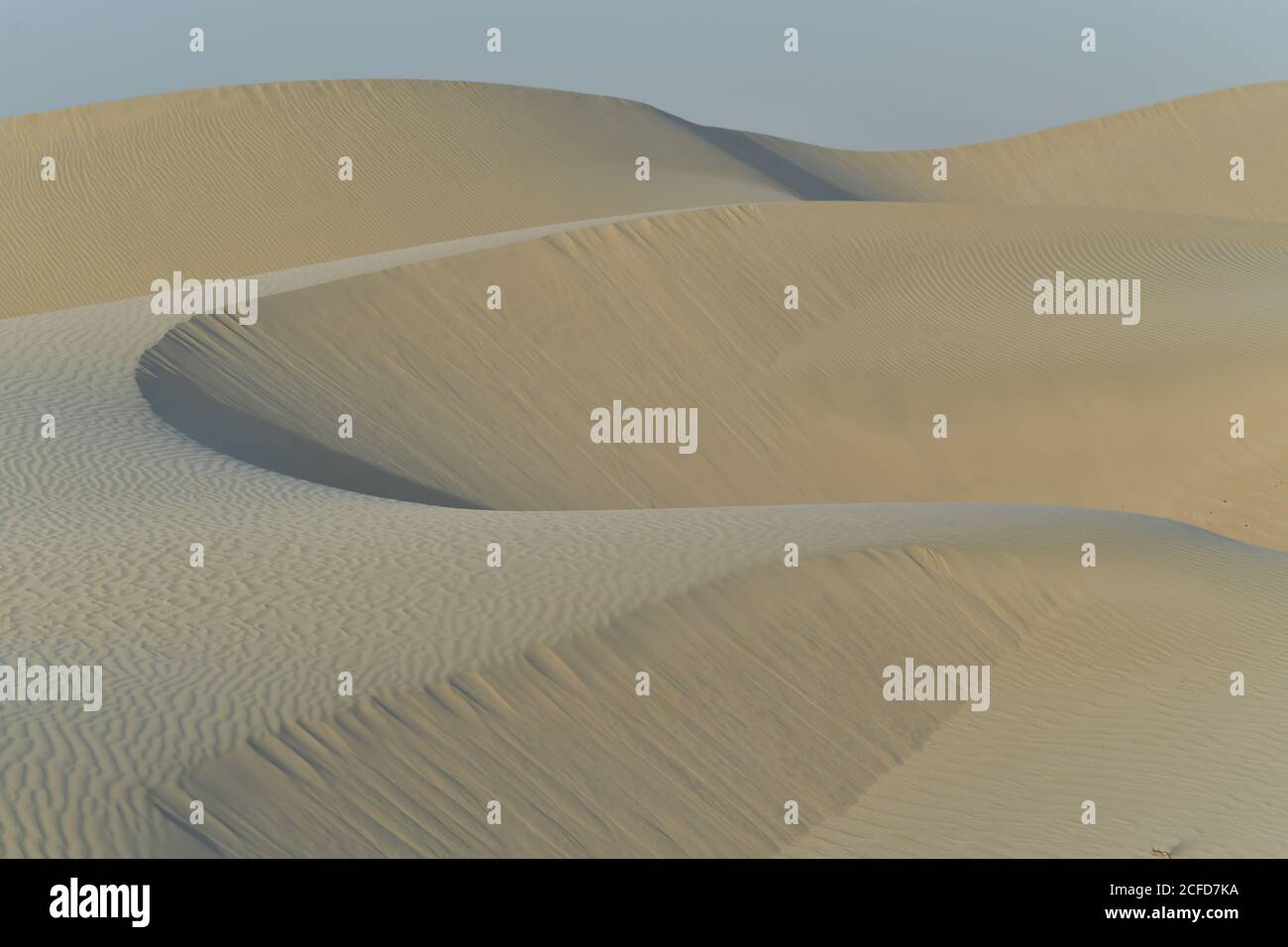 Arabian Peninsula desert sand dunes, being contoured into different ...