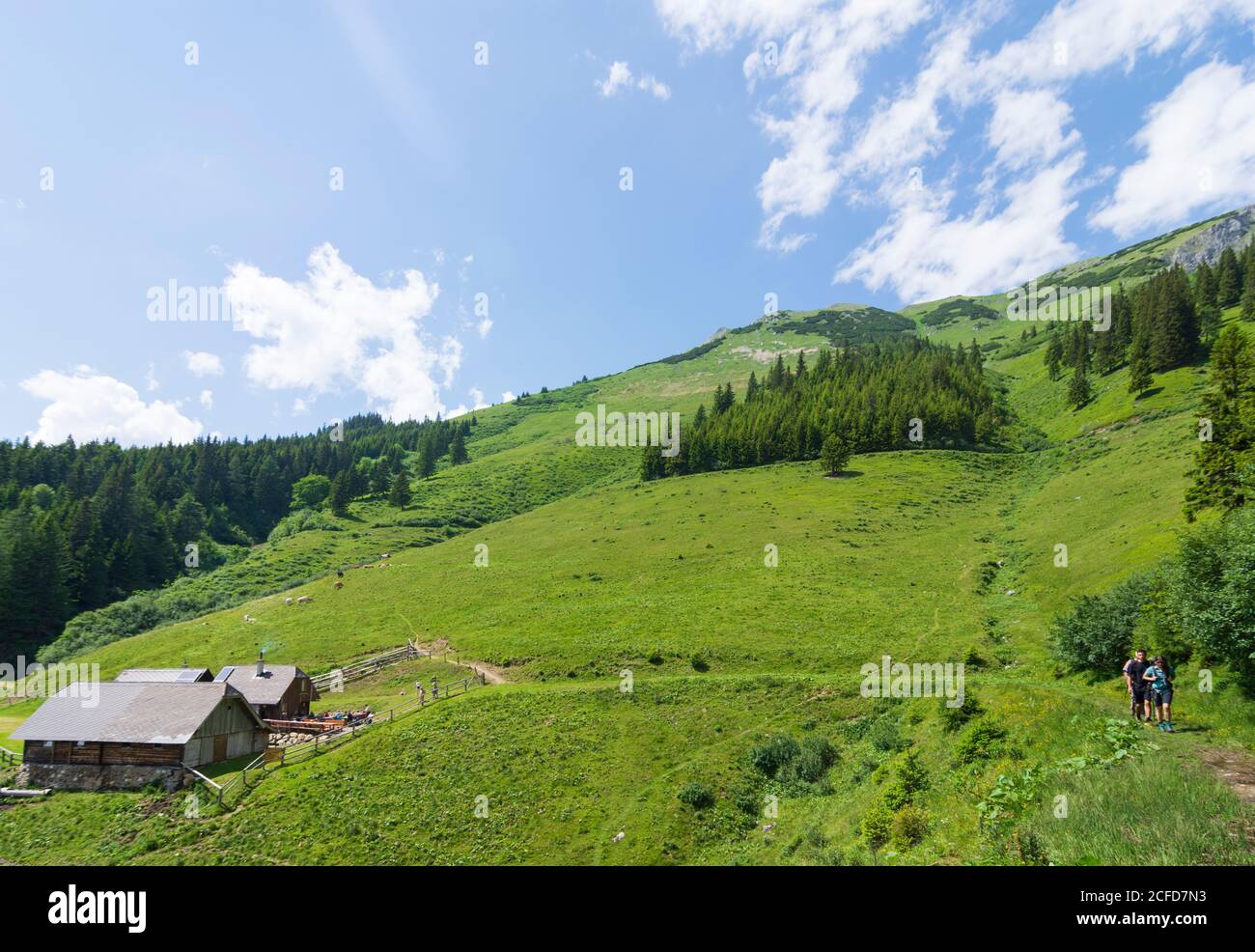 Hiker in hochsteiermark hi-res stock photography and images - Alamy