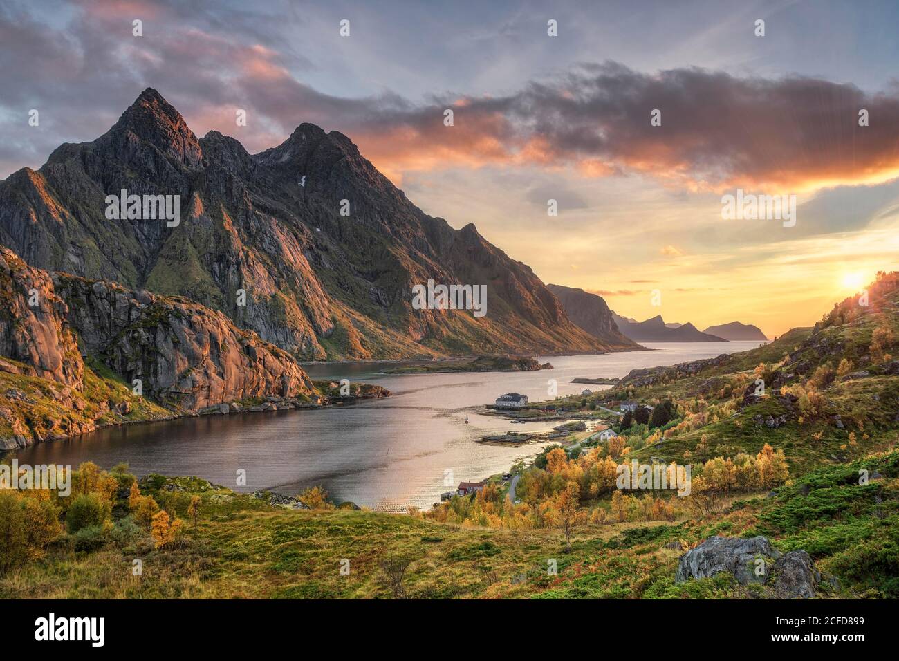 Hd Wallpapers 1080p Nature Animated