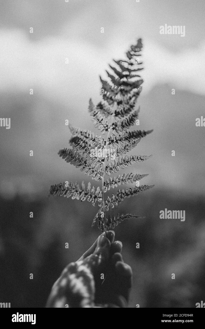 Sheet in hand Black and White Stock Photos & Images - Alamy