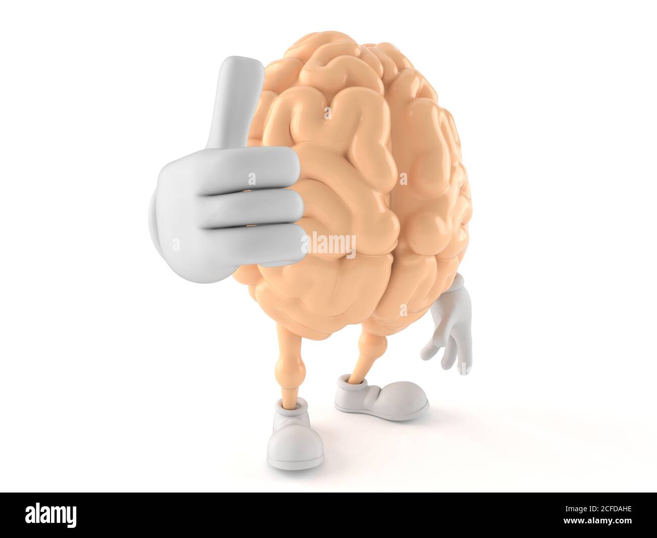 Brain character with thumbs up gesture isolated on white background ...