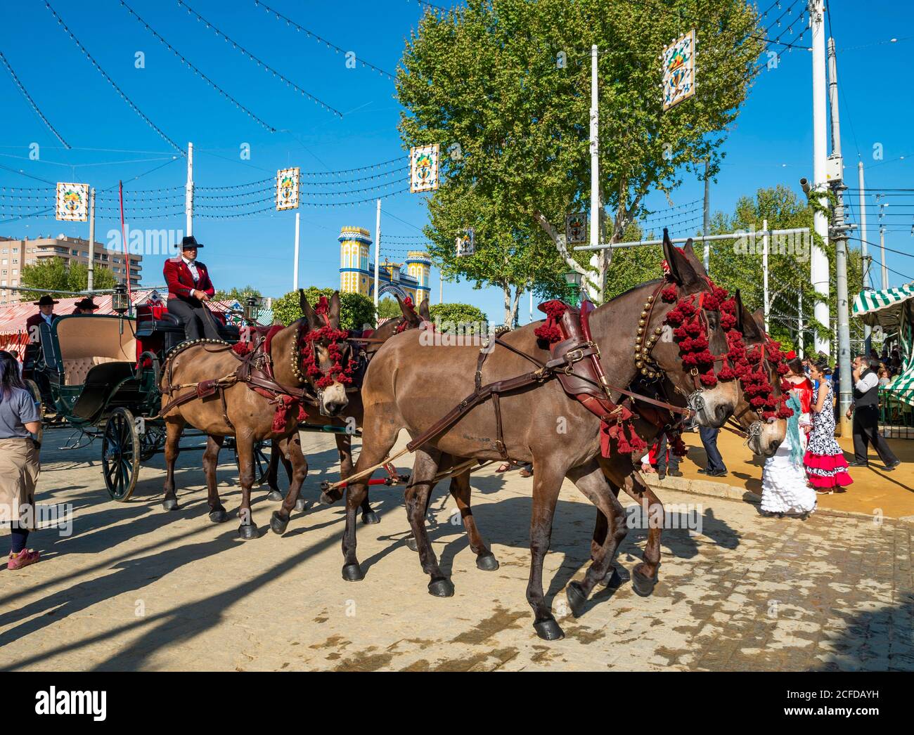 Hand carriage hi-res stock photography and images - Alamy