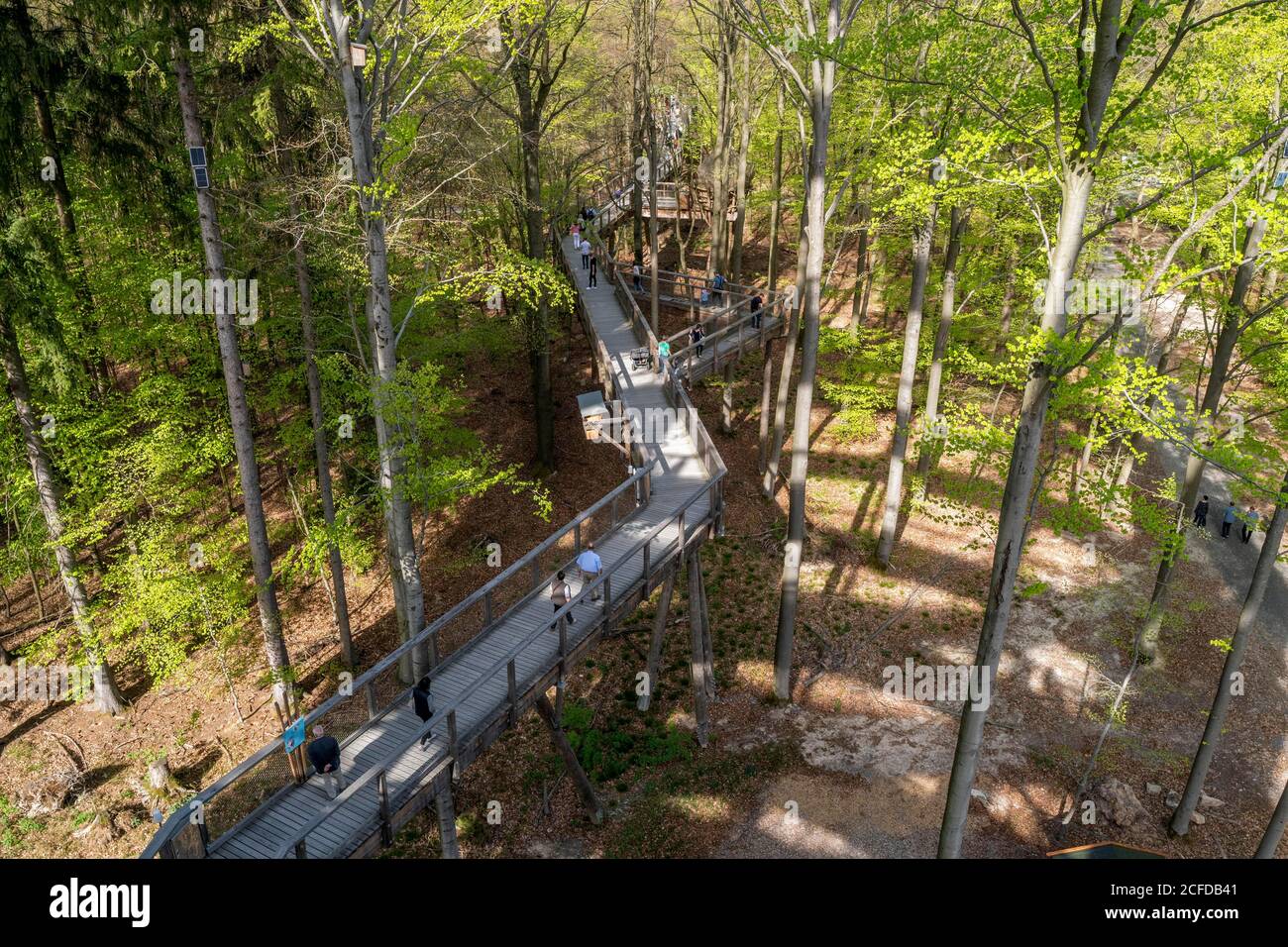Tree trail in the Steigerwald, Ebrach, Bavaria, Germany Stock Photo - Alamy