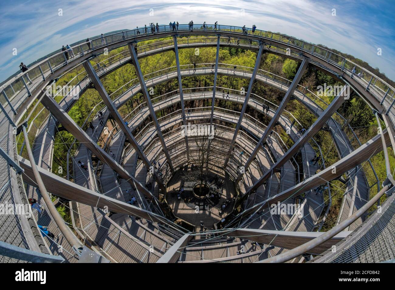 Tree trail in the Steigerwald, Ebrach, Bavaria, Germany Stock Photo - Alamy