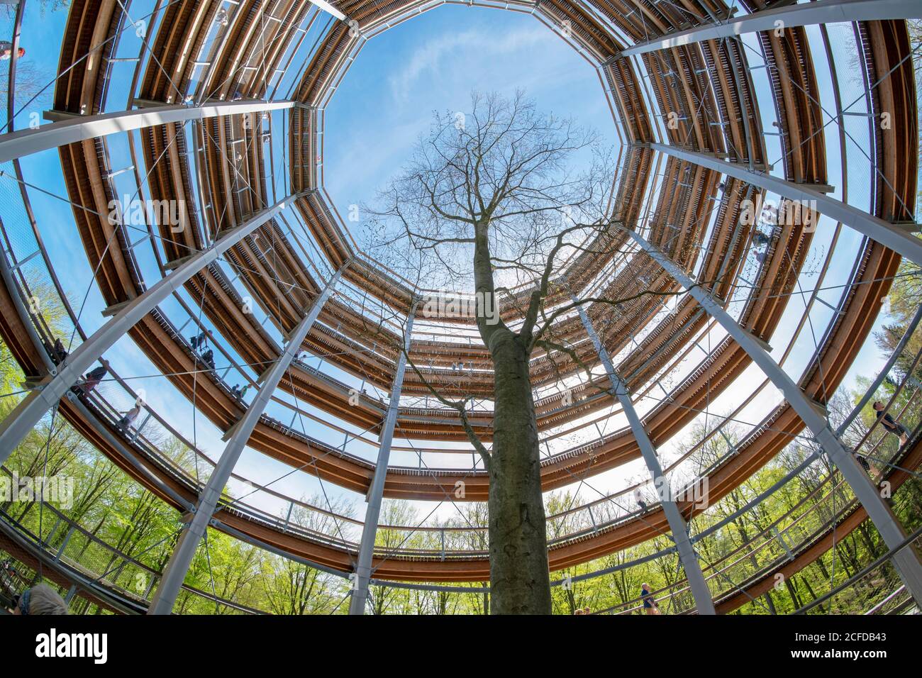 Tree trail in the Steigerwald, Ebrach, Bavaria, Germany Stock Photo - Alamy