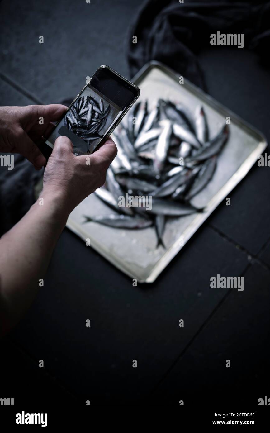 Photographing marine life hi-res stock photography and images - Alamy