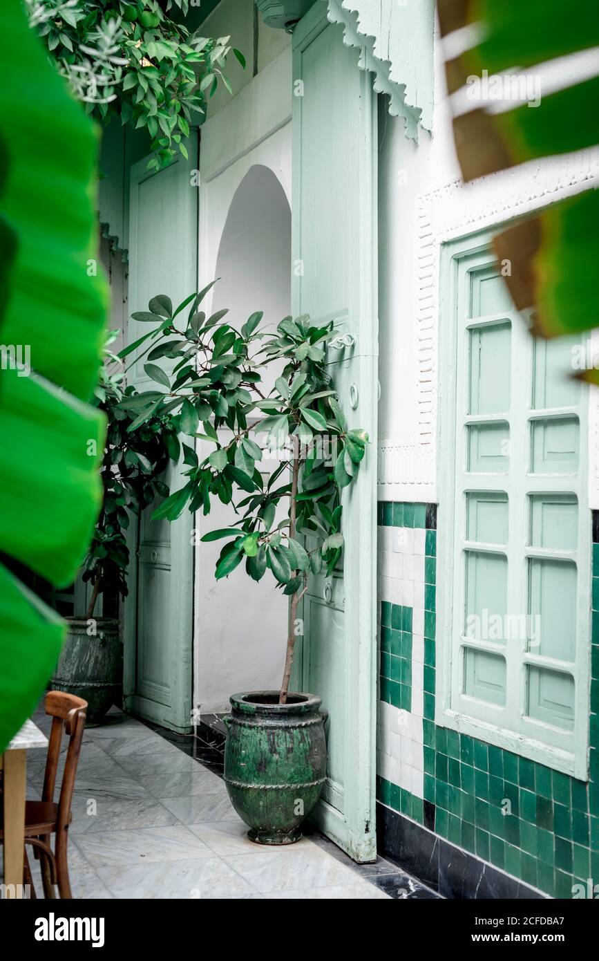 Pots with small trees located near arched entrance of green house on ...