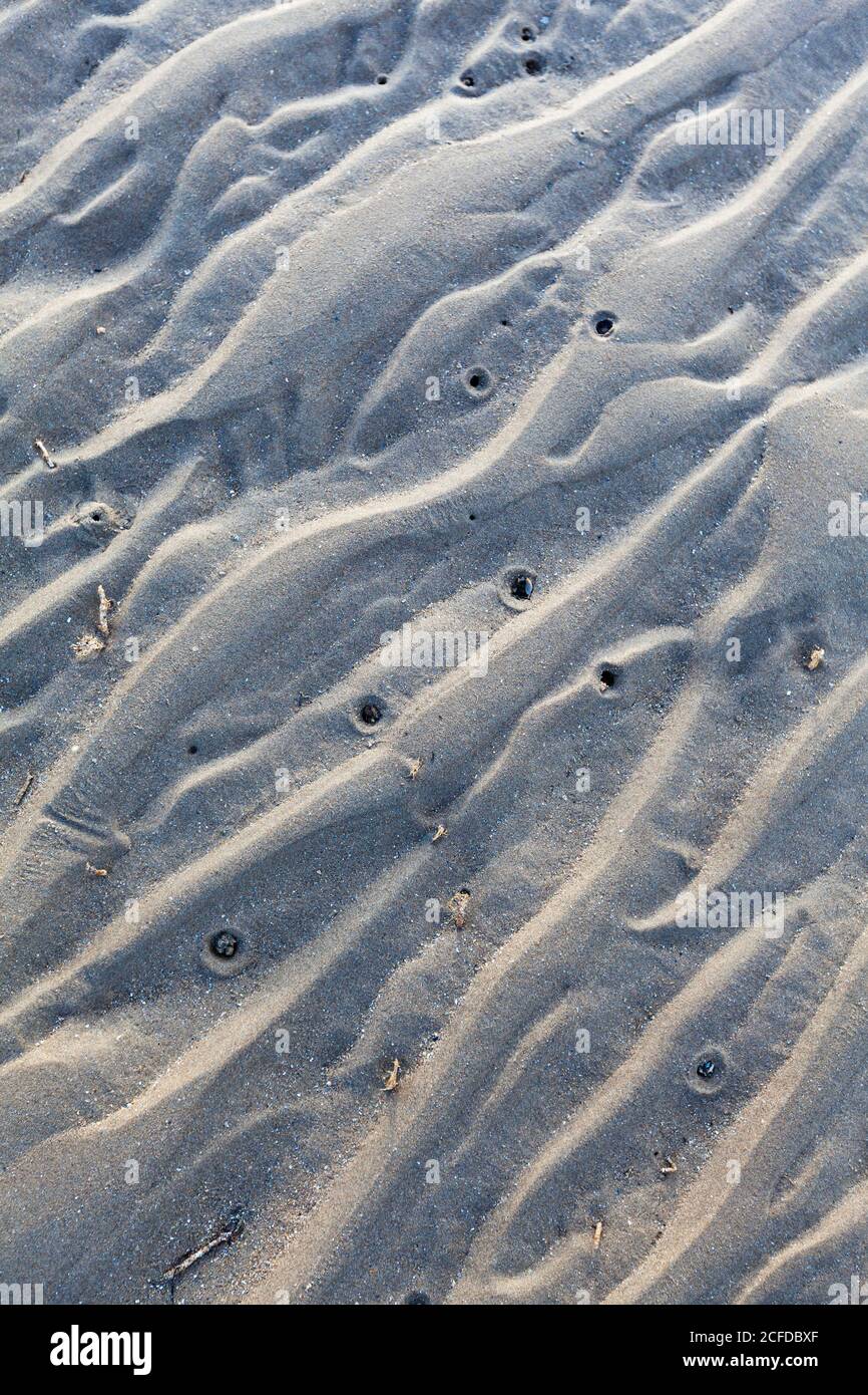 Seabed texture hi-res stock photography and images - Alamy