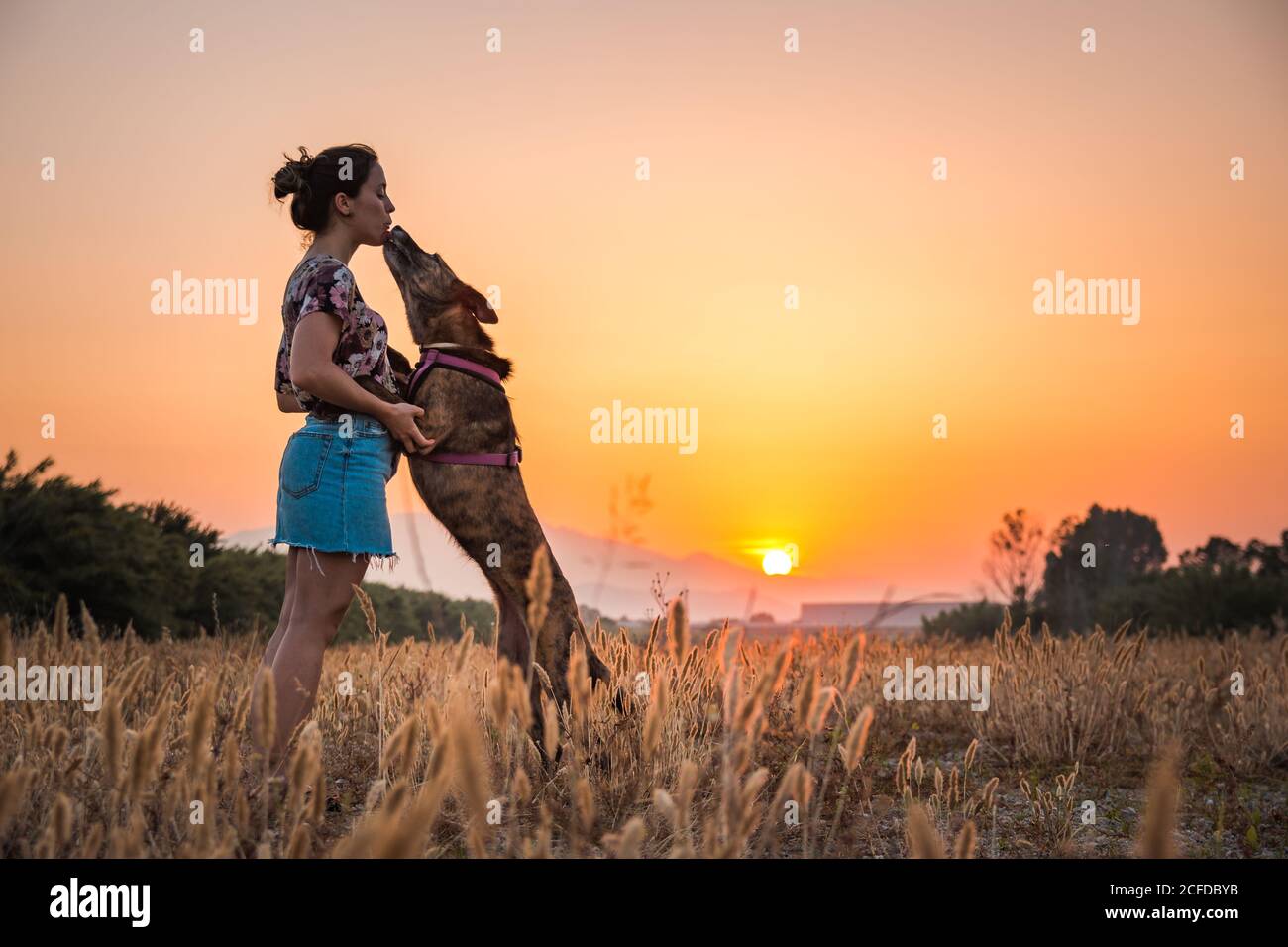 Big dog and woman hi-res stock photography and images - Alamy