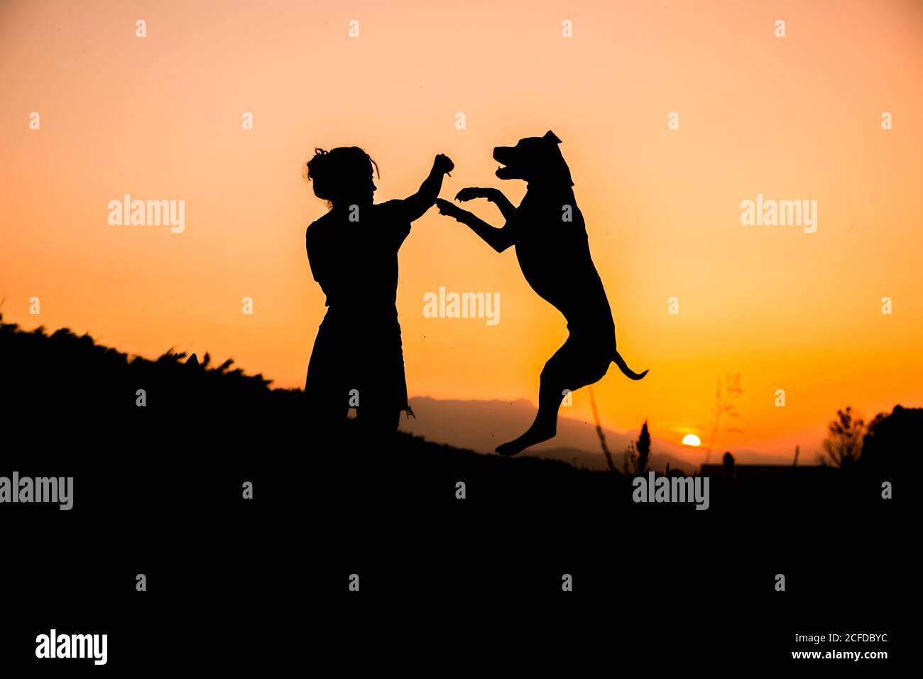 Silhouette Dog Jumping High Resolution Stock Photography and Images - Alamy