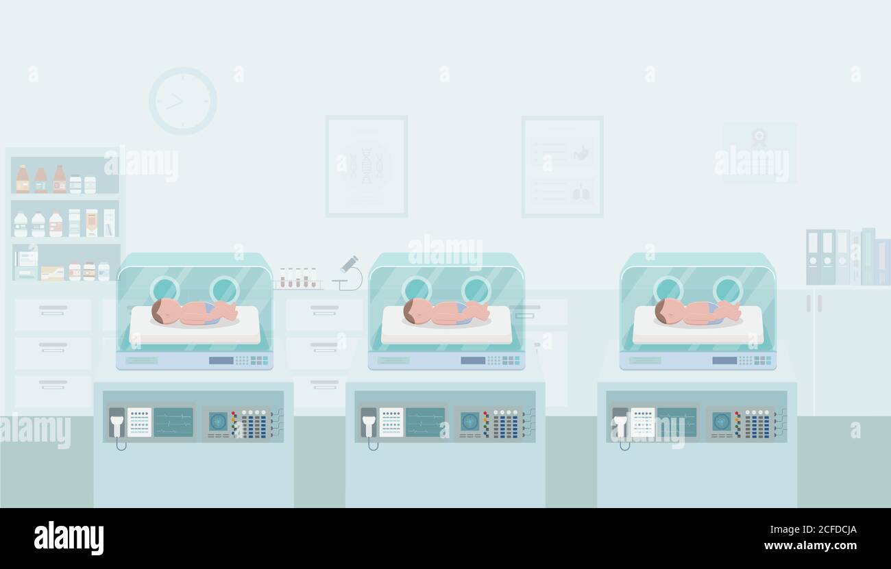 Maternity ward with newborn babies in incubators flat design vector ...