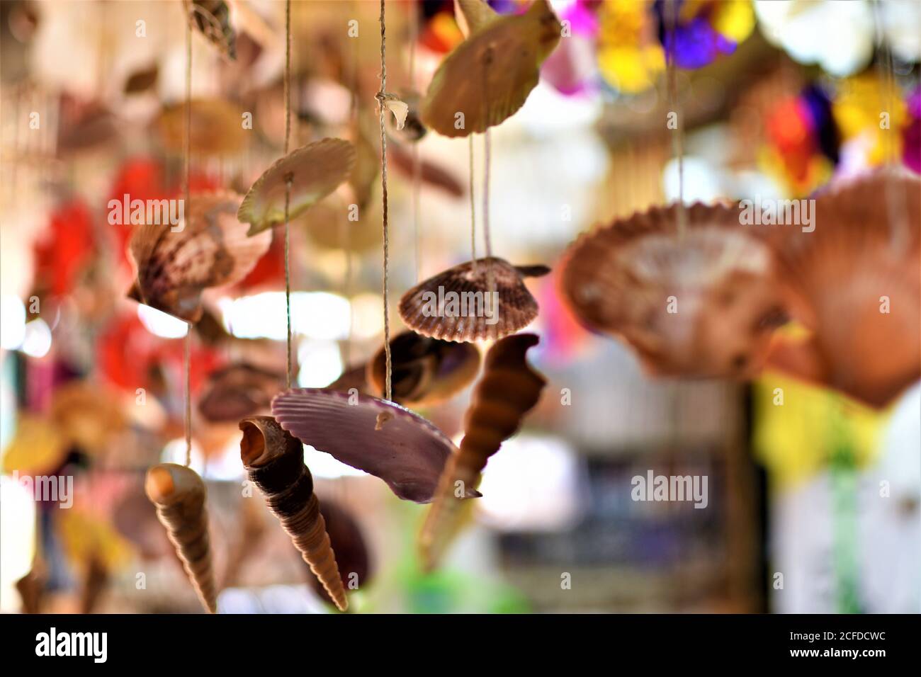 Wind chimes made of sea shells hi-res stock photography and images - Alamy